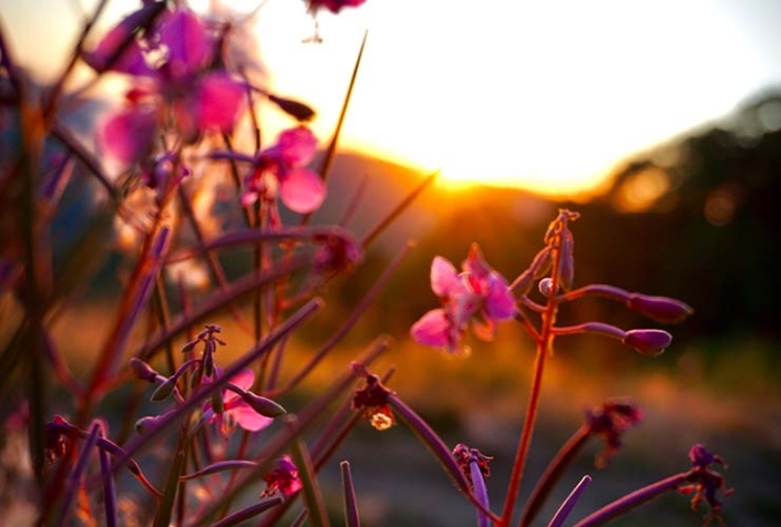 Beautiful in Italian - 16 ways to say beautiful in Italian! - Learn ...