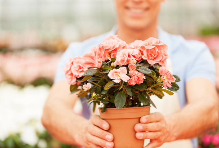 Italian Prepositions - A Definitive Guide with Examples